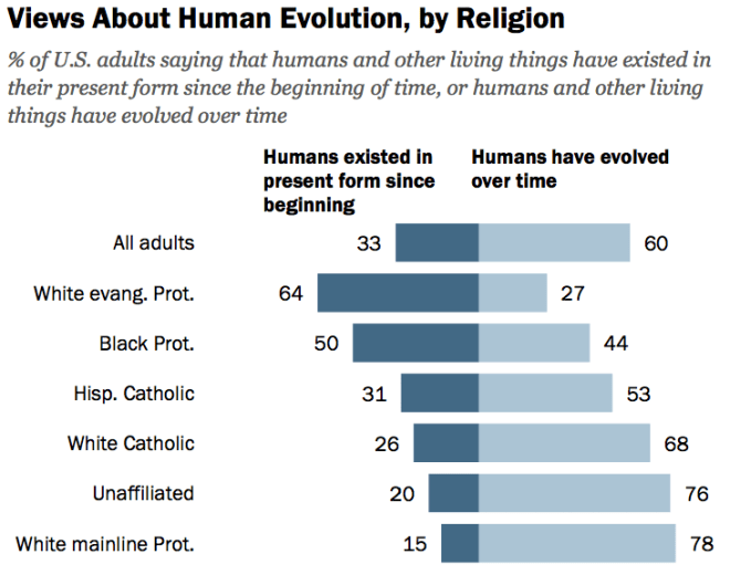 Converting To Belief In Evolution – The Dish
