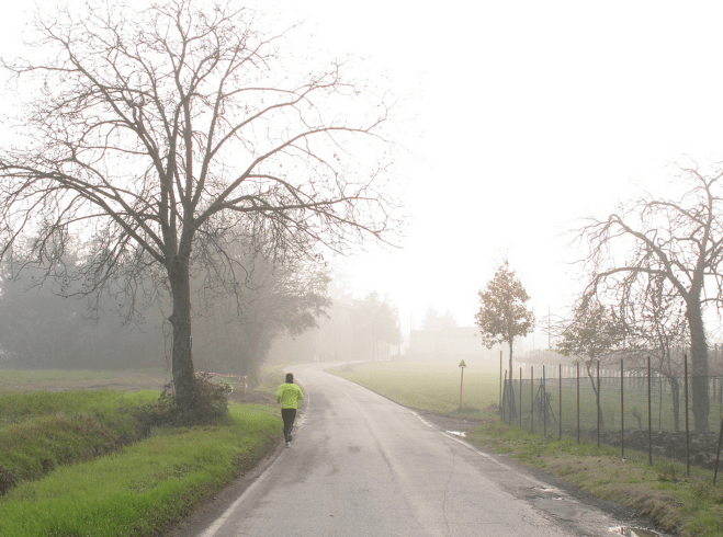 An Enduring Escape – The Dish
